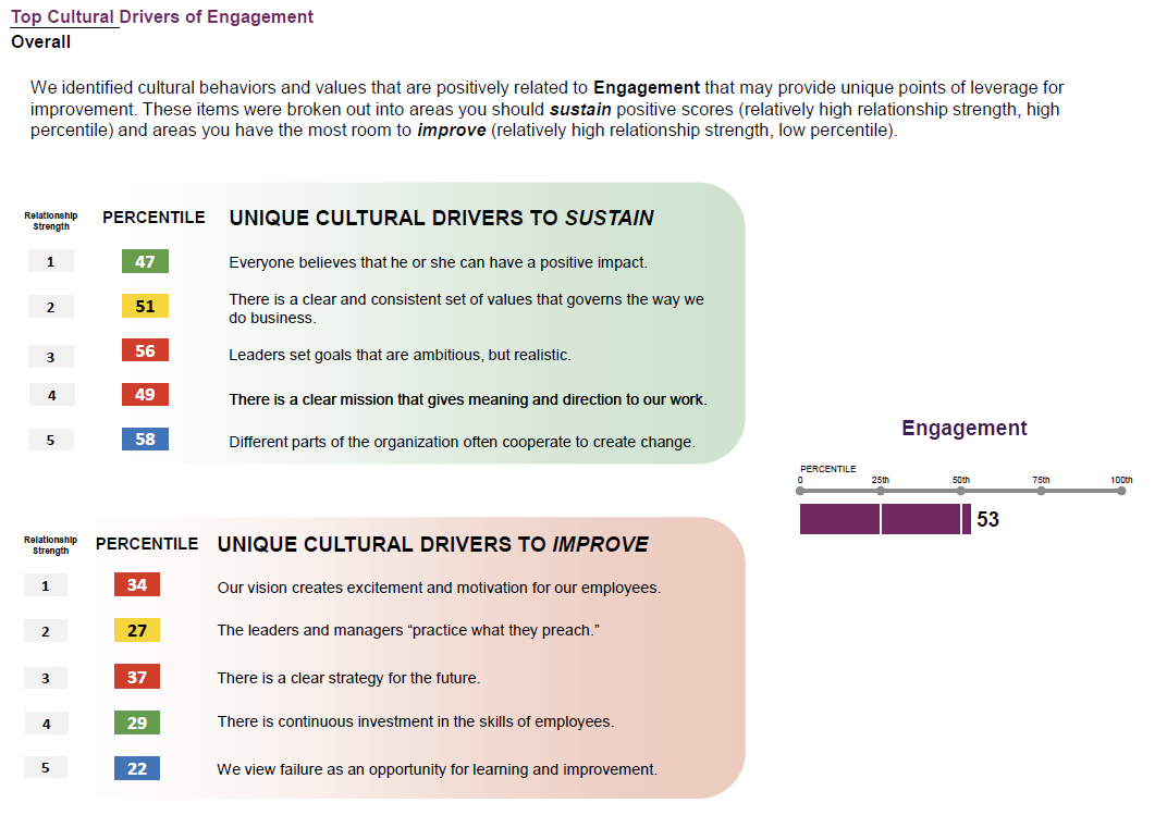 Report Samples - Denison Consulting
