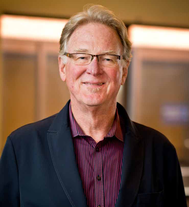 Daniel R. Denison - Denison Consulting