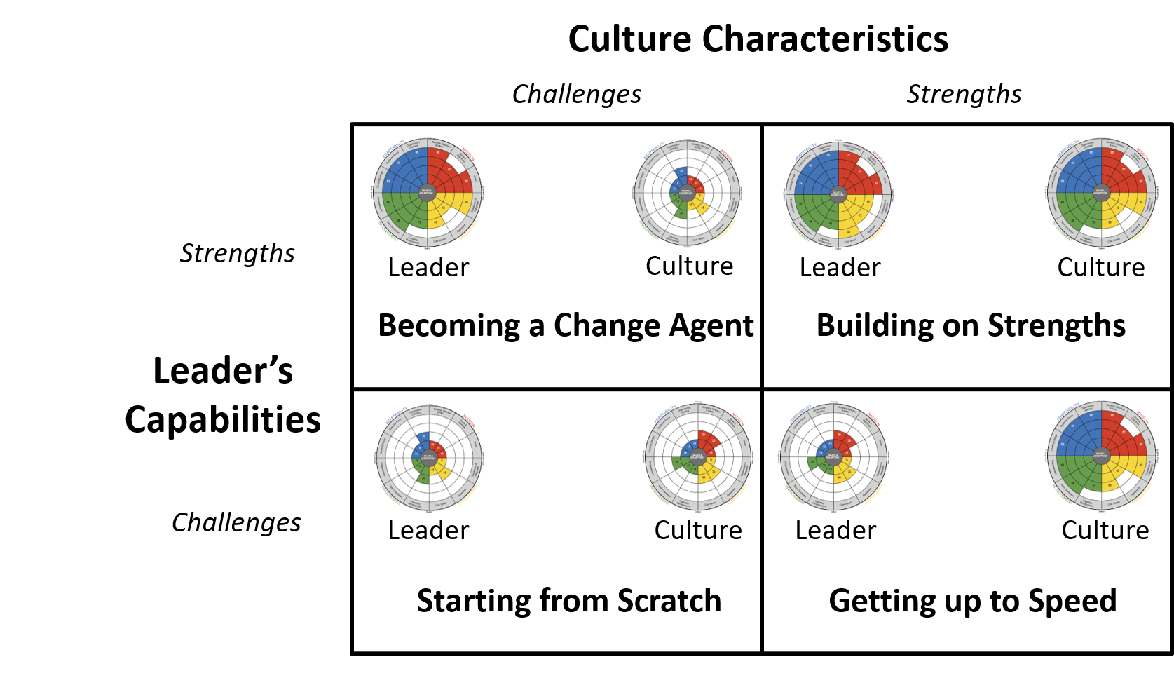 Coaching in Context | TRANSFORM Article | Denison Consulting