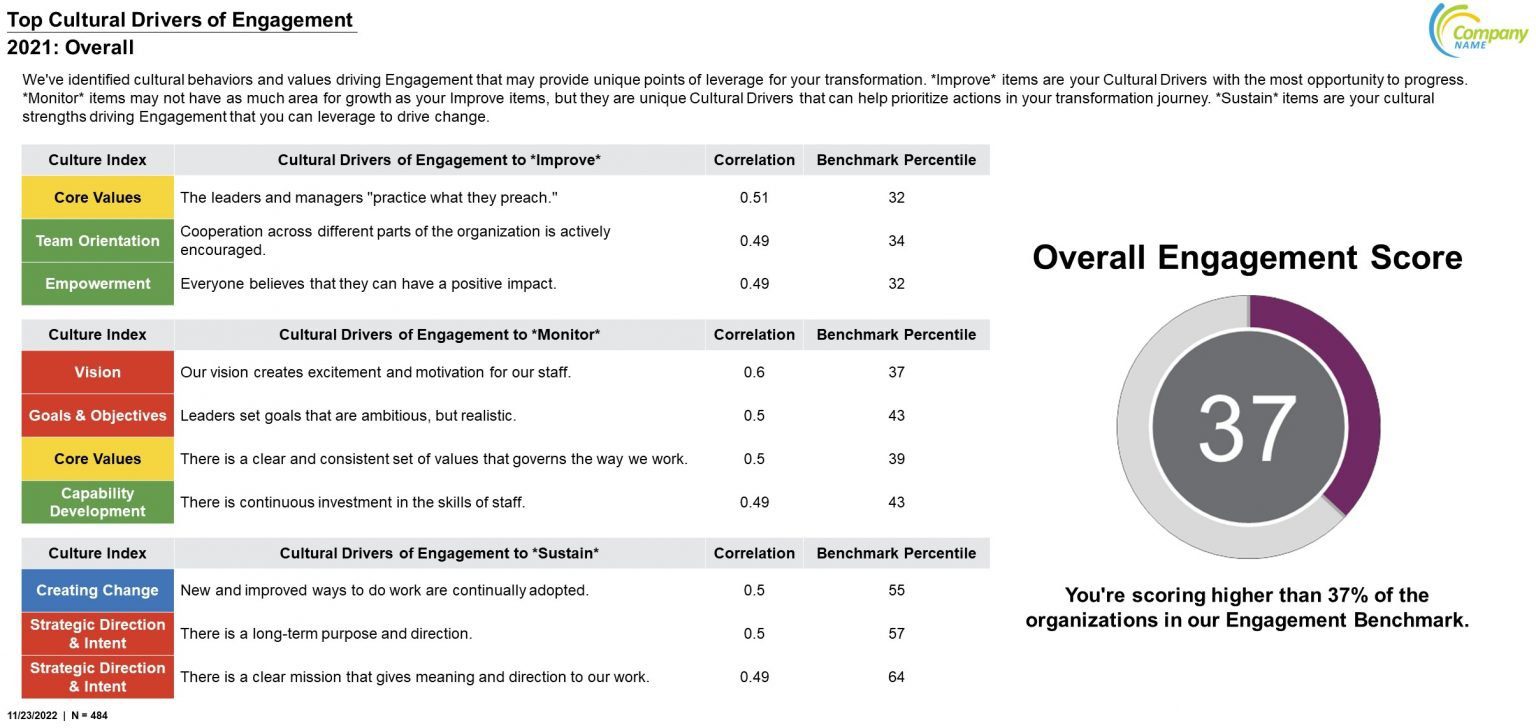 Report Samples - Denison Consulting